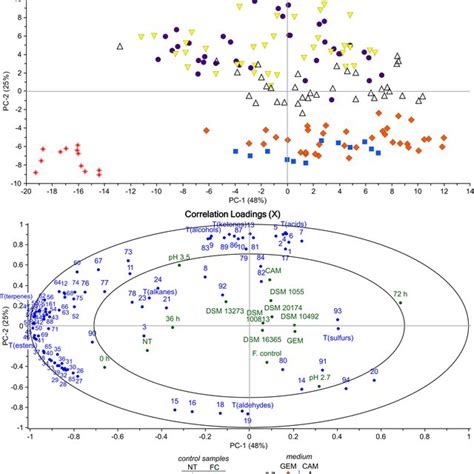 Principal Component Analysis Pca Score Plots And Correlation Loadings Download Scientific