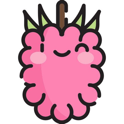 Raspberry Generic Outline Color Icon