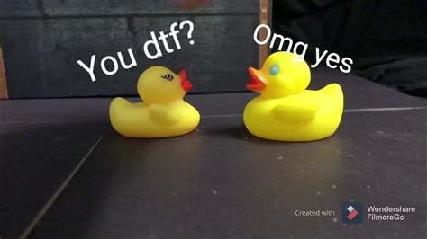 Duck Nsfw Youtube