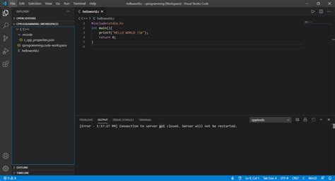Need Help With An Error Connection To Server Got Closed Server Will Not Be Restarted · Issue