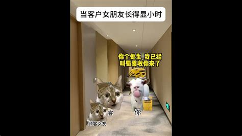 当客户女朋友长得显小时 猫meme 搞笑 喵哥是萌新 猫meme小剧场 Cat 人類迷惑行為 Meme Funny 沙雕剧情 Meme猫 女朋友 显小 萝莉