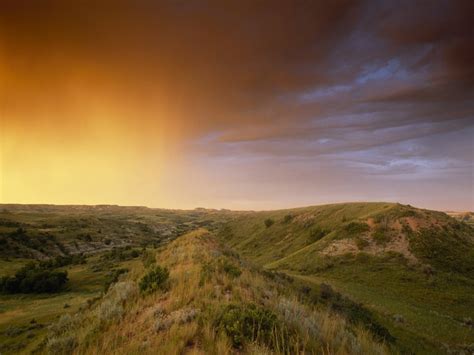 Temperate Grasslands Biome Geographic Location