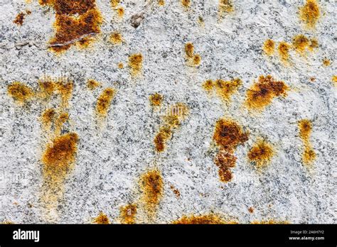 Rust And Grunge Texture Stock Photo Alamy
