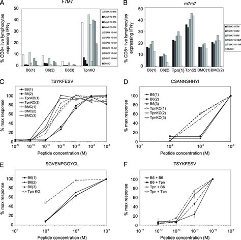 Functional T Cell Avidity A Comparison Of The Cd8 T Cell Response