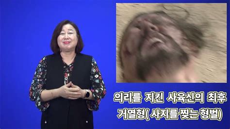가엾은 어린 임금 단종 Youtube