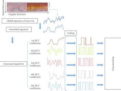 An Overview Of The Proposed Method For Extracting Global Texture Download Scientific Diagram