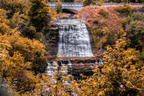 Fall Foliage Surrounding A Waterfall Stock Photo Image Of Escarpment Plant