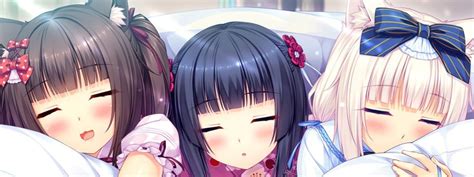 Review Nekopara Vol