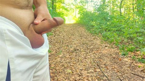 Three Ruined Cumshots In A Public Park I Hate Insect