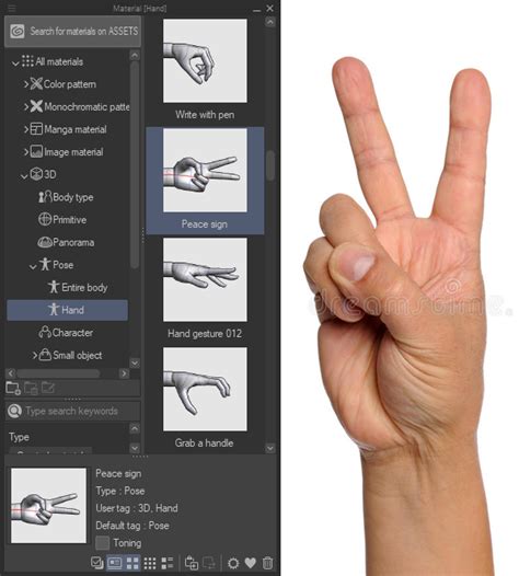 Common Hand Expressions Peace Sign