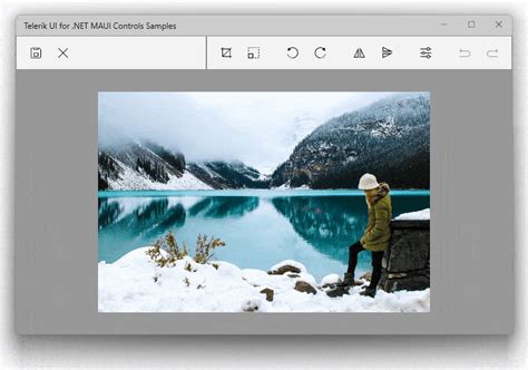 Net Maui Imageeditor Library Telerik Ui For Net Maui