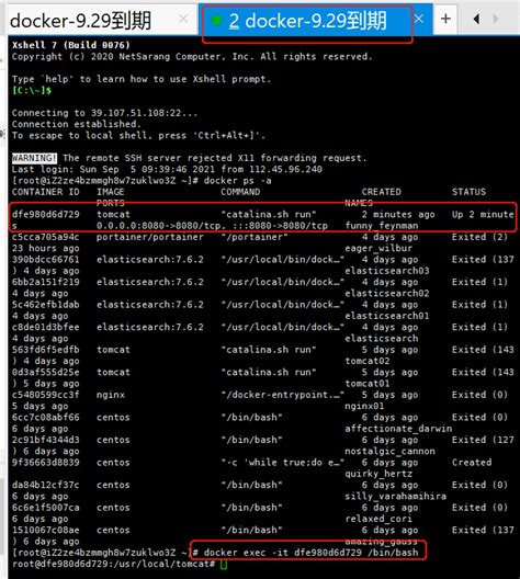 Docker的commit镜像 佩剑君子 博客园