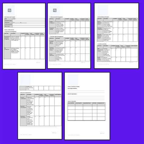 Ndis Internal Audit Template Editable Compliance Tool For Ndis