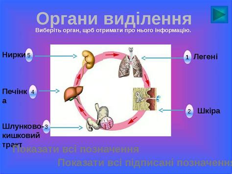 В и д і л е н н я презентація з української мови