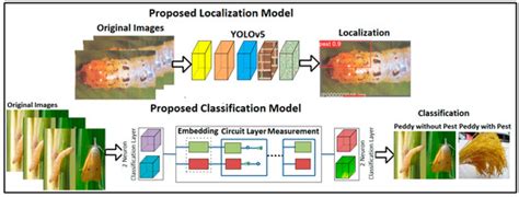 Pest Localization Using Yolov5 And Classification Based On Quantum