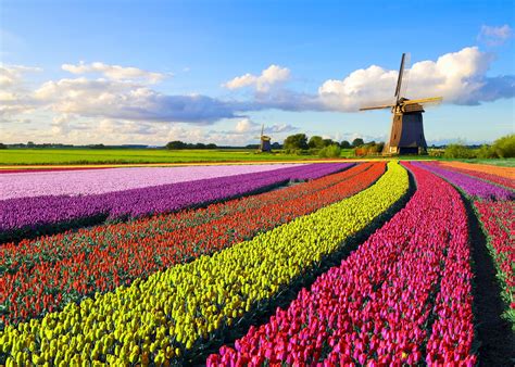 Best Time To Visit The Netherlands Climate Guide Audley Travel Us