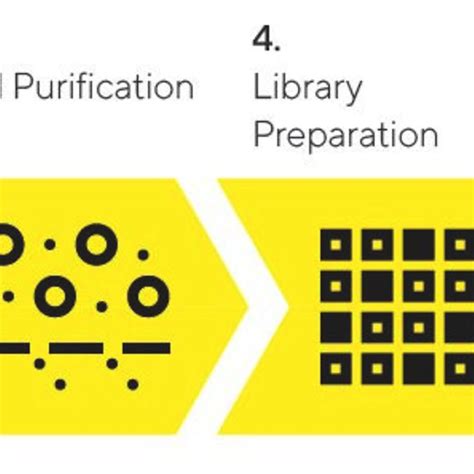 Single Cell Analysis Integration Of Spatial Cell Selection With