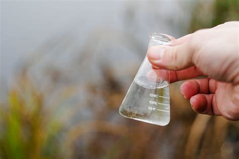 水質汚染の主な原因や現状は？環境問題に関心を持つわたしたちができること リミックスでんきコラム