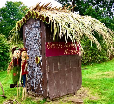 Pumpkin Path Weekends From My Window