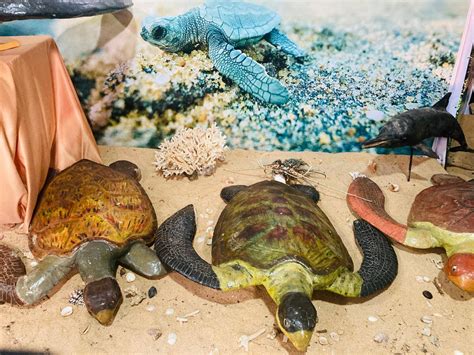 ජගත් Department Of Wildlife Conservation Sri Lanka Facebook