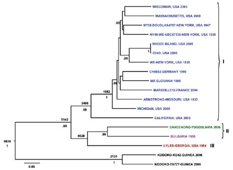 Bayesian Coalescent Analysis Of Lymphocytic Chorio Meningitis Virus