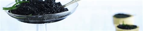 Différents Types De Caviar Et Leurs Caractéristiques Degusta Teruel