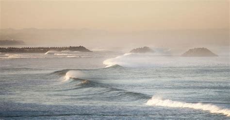 Van Moesson Tot Mistral Waarom Wind Ons Wonderen Doet