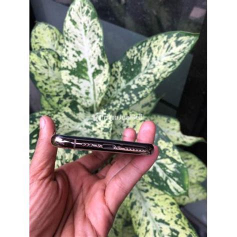 Hp Iphone Xs Gb Bekas Siap Pakai Fullset Fungsi Normal Harga Terjangkau Di Blitar Tribun