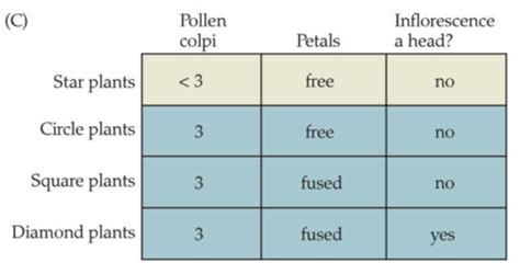 Lecture 17 Phylogenetic Inference Tree Thinking Building Flashcards