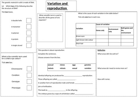 Reproduction And Variation Worksheet And Answers Teaching Resources