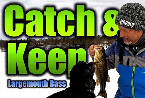 Catch And Cook Largemouth Bass Angling Edge Buzz