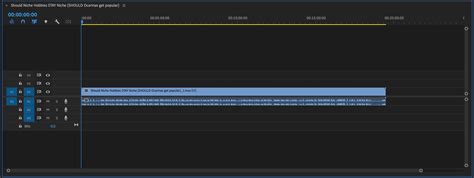 How To Automatically Remove Silence In Adobe Premiere Pro Using