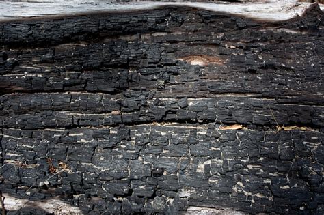 불에 탄 나무 조각 사진 Unsplash의 무료 회색 이미지