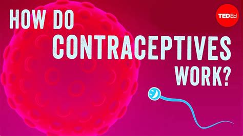 How Do Contraceptives Work NWHunter YouTube