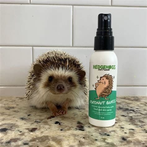 Hedgehog Quills Falling Out