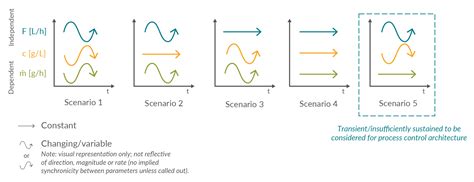 Developing Implementing A Continuous Bioprocess Control Strategy