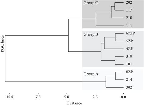Agglomerative Hierarchical Clustering Agglomerative Hierarchical