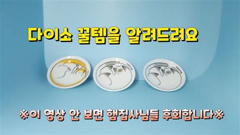 다이소 햄스터 꿀템을 알려드림 Youtube