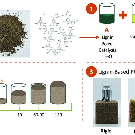 Pdf Lignin Based Polyurethanes Opportunities For Bio Based Foams Elastomers Coatings And