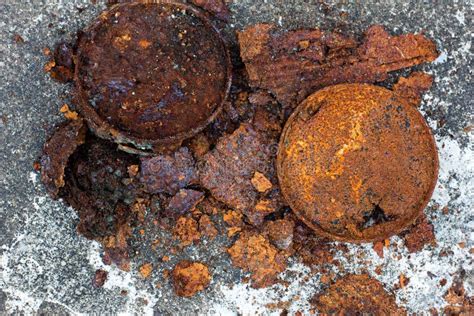 Rust On Bean Stock Photo Image Of Agronomical Fabaceae 116083064