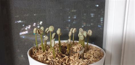 좋아 일단 해보자 Arduino HC 를 이용해 PC 와 Arduino 블루투스 연결