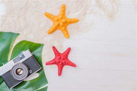 밝은 배경에 야자수 잎과 불가사리가있는 평평한 평신도 조성 0명에 대한 스톡 사진 및 기타 이미지 0명 개인 장식품 꼭대기 Istock