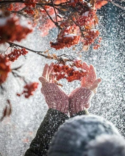 Az élet Rövid élj A Szeretet Ritka Ragadd Meg A Harag Rossz Engedd El A F I1764961378