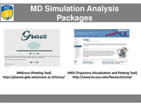 Md Simulation