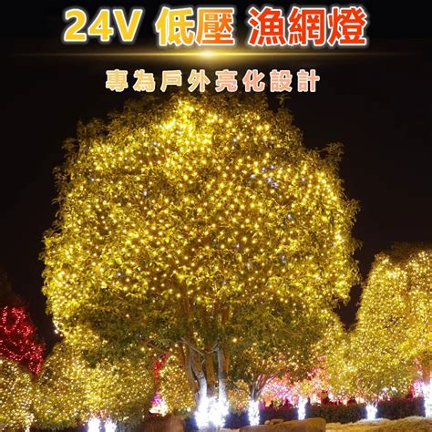 現貨 Led網燈 漁網燈 Led燈串 24v低壓網燈 戶外防水網燈 氣氛燈 戶外裝飾燈 耶誕燈 裝飾燈 佈置燈 聖誕燈 蝦皮購物