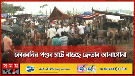 শেষ মুহূর্তে জমজমাট কোরবানির পশুর হাট Qurbani Cow Cow Haat 2023 Eid Ul Adha Somoy Tv