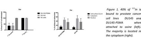 Radiobiological Assessment Of Radionuclide Pairs Used In Theranostic Imaging And Therapy