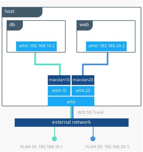 Docker Networking Macvlan Network Png Image Transparent Png Free
