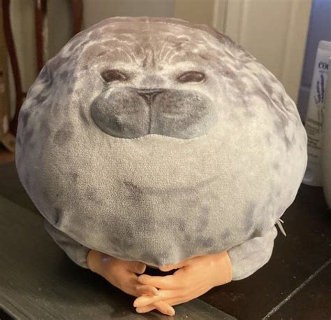 Пин от пользователя Ek на доске Seal Тюлень Морские котики Фотографии обезьян