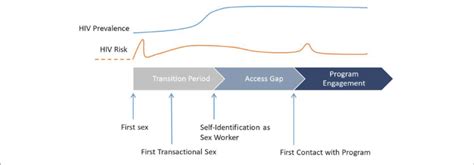Schematic Representation Of The Central Concept Of The Transitions Download Scientific